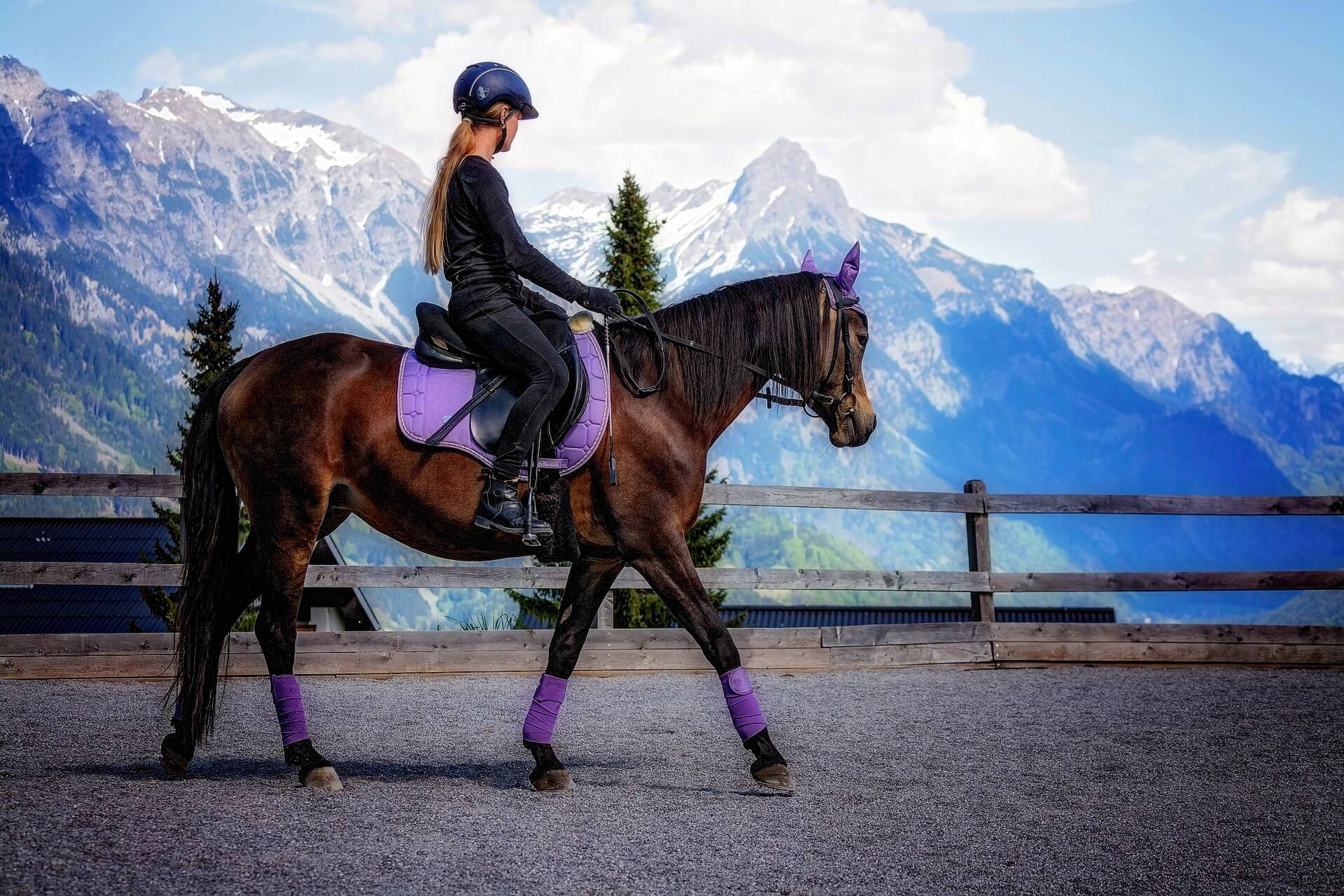 Sezonowe atrakcje na koloniach konnych – czego można się spodziewać ...